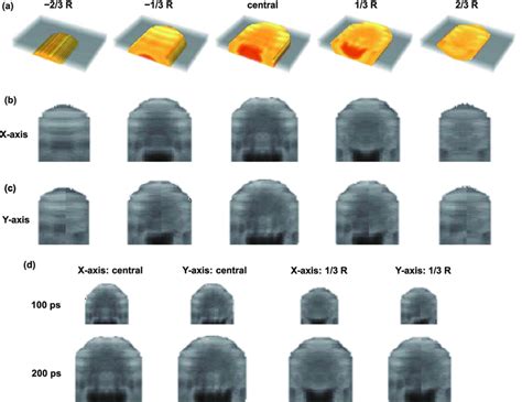 The Cross Section Images Extracted From The Reconstructed Image A Download Scientific