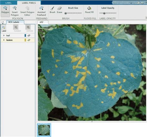 Image Annotation Process Blue And Yellow Pixels Indicate The Leaf And