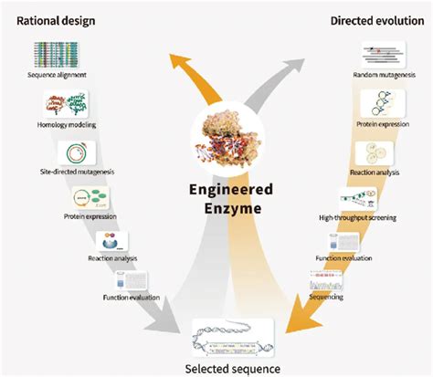 邀请函 扬帆起航翌圣镁孚泰生物即将亮相美国BIO2024开启全球生物技术合作新征程