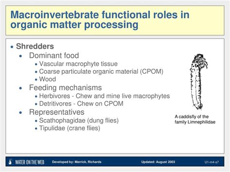 Ecosystem Processes And The River Continuum Concept Ppt Download