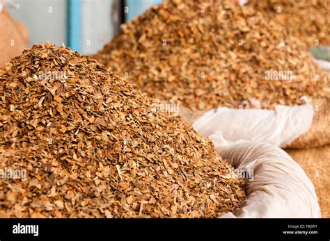Uso Del Tabacco In India