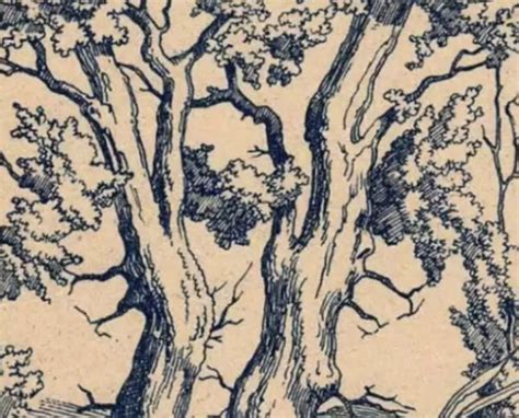 Can You Spot The 3 Hidden Faces In This Tree Vibes Corner