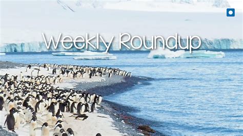 DebugPoint Weekly Roundup AlmaLinux New Version Of Sed More