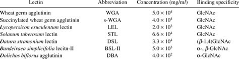 Bindings Specificities Of Lectins Used Download Scientific Diagram
