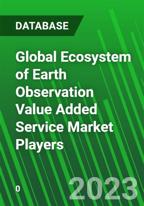 Global Ecosystem Of Earth Observation Value Added Service Market Players