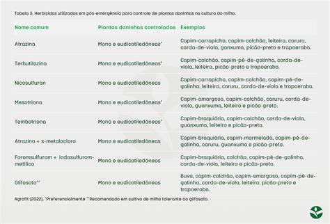 Herbicidas para milho época de aplicação e principais produtos