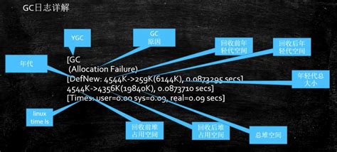 Java内存回收和常用算法 指尖上的代码go 博客园