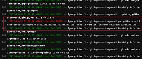 Invalid Version Unknown Revision Mentioned In Log When We Want To