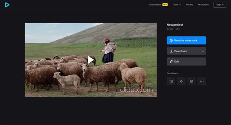 How To Remove Audio From Video Ways Clideo