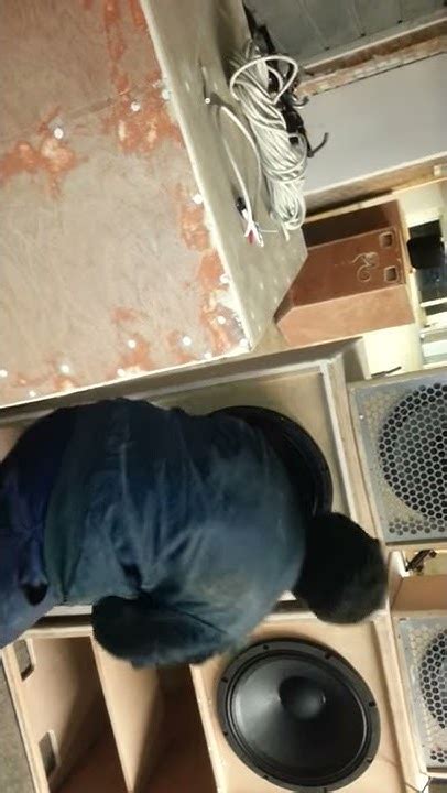 Bass Scoops Test Youtube