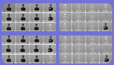 Shared Knowledge In Human Robot Interaction Luxai Sa