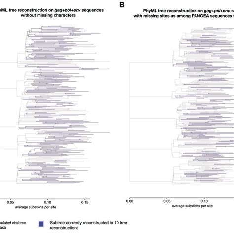Correctly Reconstructed Clades In Simulated HIV 1 Phylogenies From