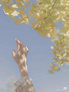 Pin By Nhienmaria On B Scenery Wallpaper Aesthetic Iphone Wallpaper