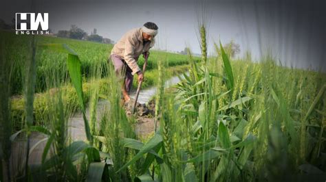 Ec Asks Telangana To Halt Financial Aid For Farmers Under Rythu Bandhu