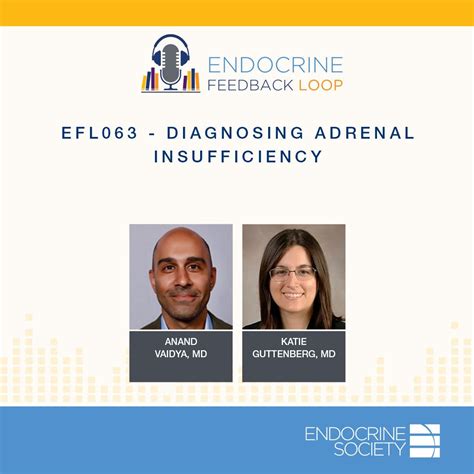 Endocrine Feedback Loop Diagnosing Adrenal Insufficiency Endocrine