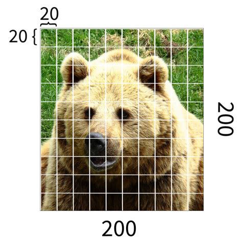 Exploring GradCam And More With FiftyOne Voxel51