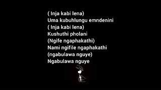 Umafikizolo Inja Kabi Lena Lyrics Ntando Ngcobo Mp3 Music Mp4 Video Downloads