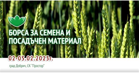 Агрофирми ще представят новости на Борсата за семена в Добрич от 2