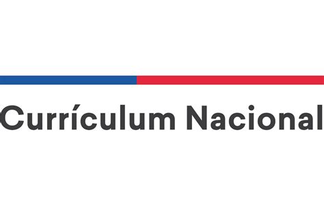 Bases Curriculares Del Ministerio De Educación Bases De Datos