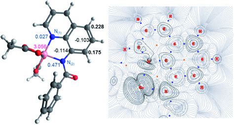 Left Molecular Structure With Calculated Spin Densities For ⁵int 1·l¹ Download Scientific