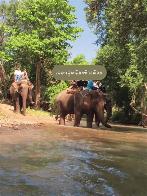 🔥 Summer นี้พามาคลายร้อนที่ล่องแพ แม่วาง 😱 แกลเลอรีที่โพสต์โดย กอนอพาไปเที่ยว Lemon8