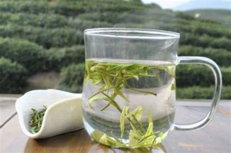 女人喝白茶的好处 茶文化网