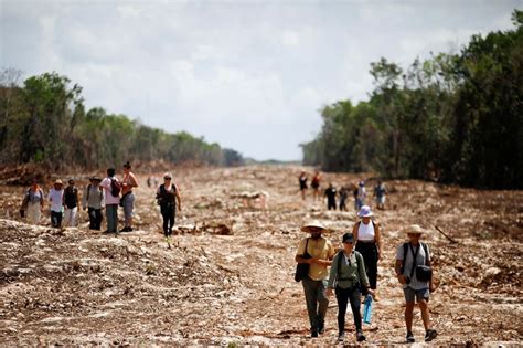 El Tren Maya camina con apego a la normatividad ambiental Semarnat celebró el retiro de
