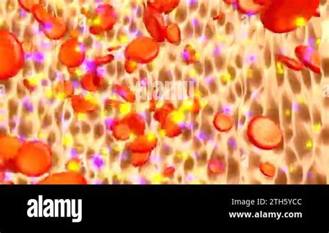 Blood Purification Process Stock Videos And Footage Hd And 4k Video