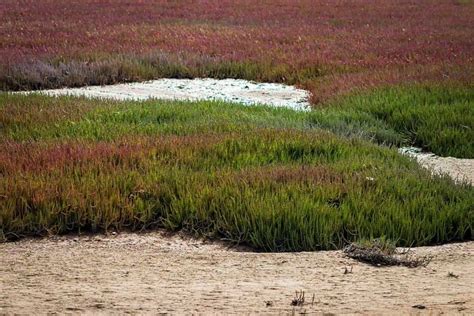 Top Tips To Sell Your Land Fast The Pros And Cons You Need To Know