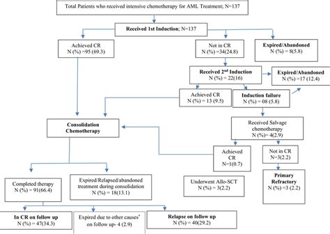 Flowchart Showing Aml Patient Recruitment And Attrition During Therapy