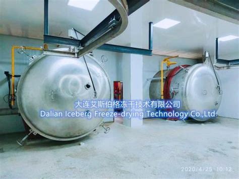 Continuous Batch Freeze Dryer High Quality Continuous Batch Freeze