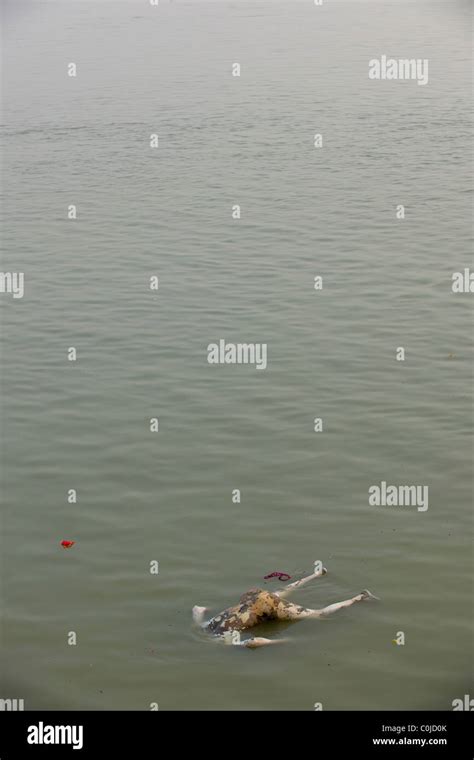 Ganges River Pollution Bodies
