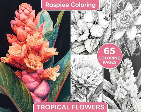 Tropical Flowers Coloring Pages Free Printable Hawaiian Tropical