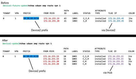 Cisco Catalyst Sd Wan Routing Configuration Guide Cisco Ios Xe Catalyst Sd Wan Release 17 X