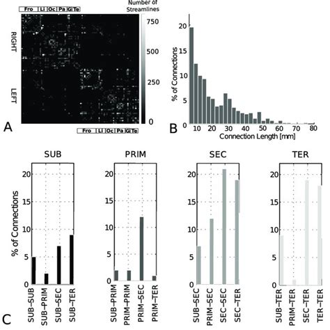 Connection Properties A Weighted Groupwise Connectivity Matrix Download Scientific Diagram