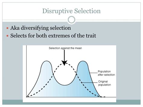 Ppt How Natural Selection Works Powerpoint Presentation Free