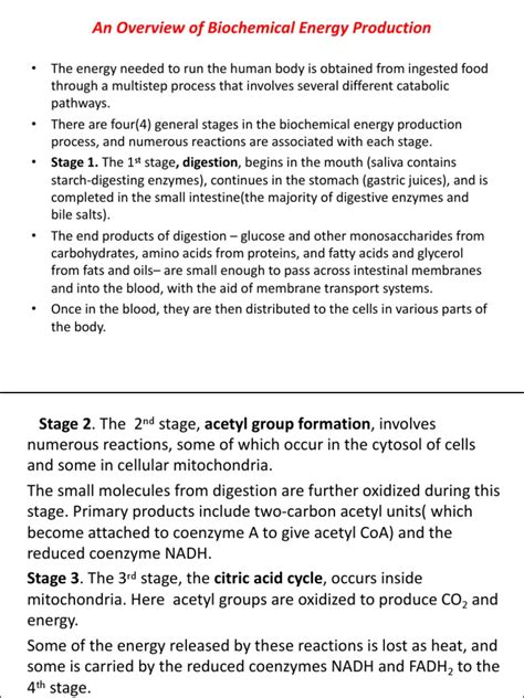 Biochemical Energy Production Pdf Diet And Nutrition Chemistry