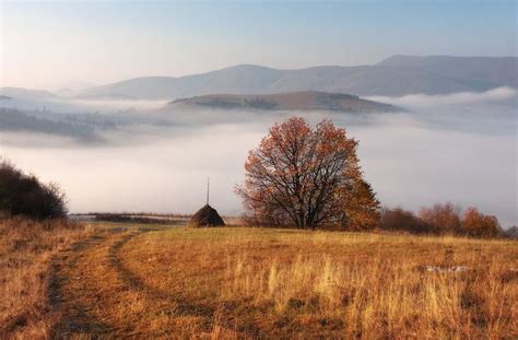 Дивовижні фото з осінніх Карпат