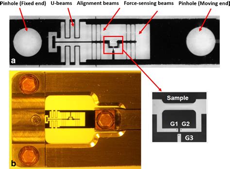 Figure 1 From Grain Rotations In Ultrafine Grained Aluminum Films