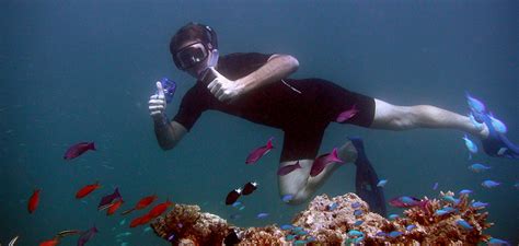 Bahamas Adventure Snorkel Bahamas Snorkeling Tours