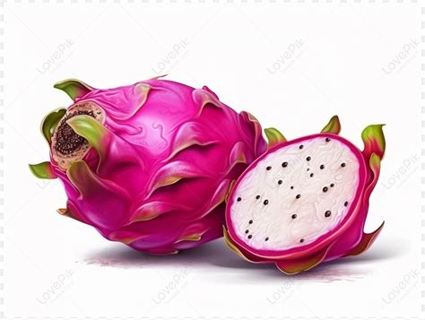 드래곤 과일 벡터 파일만화 예술 Png 일러스트 무료 다운로드 Lovepik