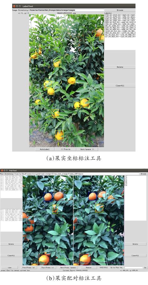 用于边缘计算设备的果树挂果量轻量化估测模型
