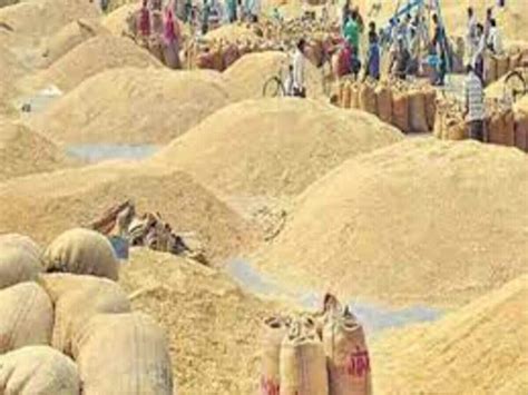 छत्तीसगढ़ धान खरीदी 14 नवंबर से शुरू नोडल अधिकारी किए गए नियुक्त