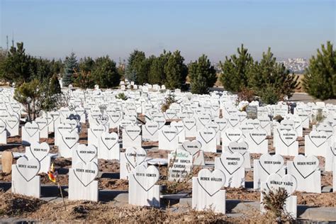 Parçalanmış Cesedi Bulunan Bebeği Mezardan Hayvanlar çıkarıp Başka Yere