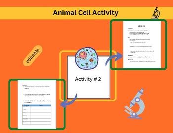 Lab Activity Cells And Microscope By Moodyjoy TPT