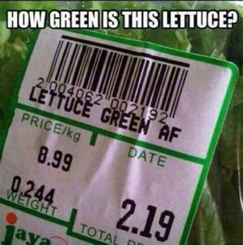 The Best Green Memes Memedroid