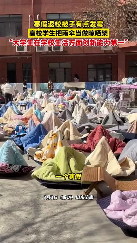 寒假返校被子有点发霉高校学生把雨伞当做晾晒架