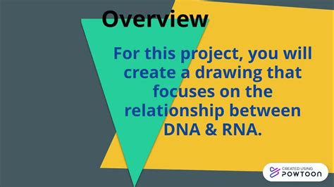 Dna And Rna Projects Youtube