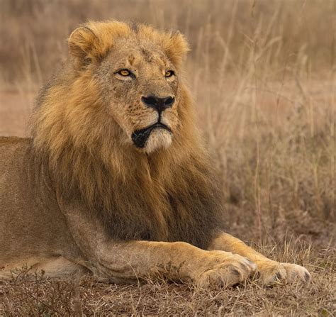 Carl Lorenz On Linkedin Africa Experience Work Commute Kenya Nairobi Nairobikenya… 44