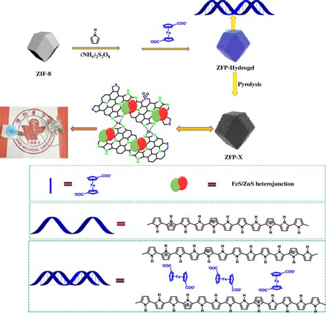Schematic Route For The Fabrication Of ZFP X Catalysts X Refers To The Download Scientific